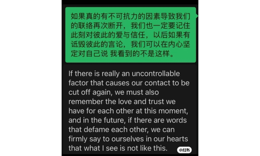 "Dear Li Hua": The TikTok/Xiaohongshu Honeymoon Explained | What's on Weibo