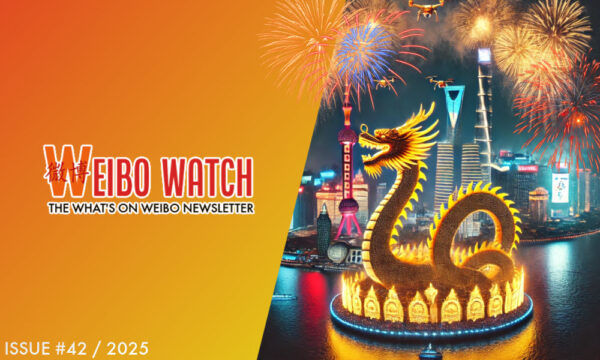 A Short Introduction to Sina Weibo