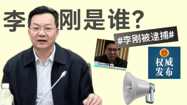 Do You Know Who Li Gang Is? Anti-Corruption Official Arrested for ...